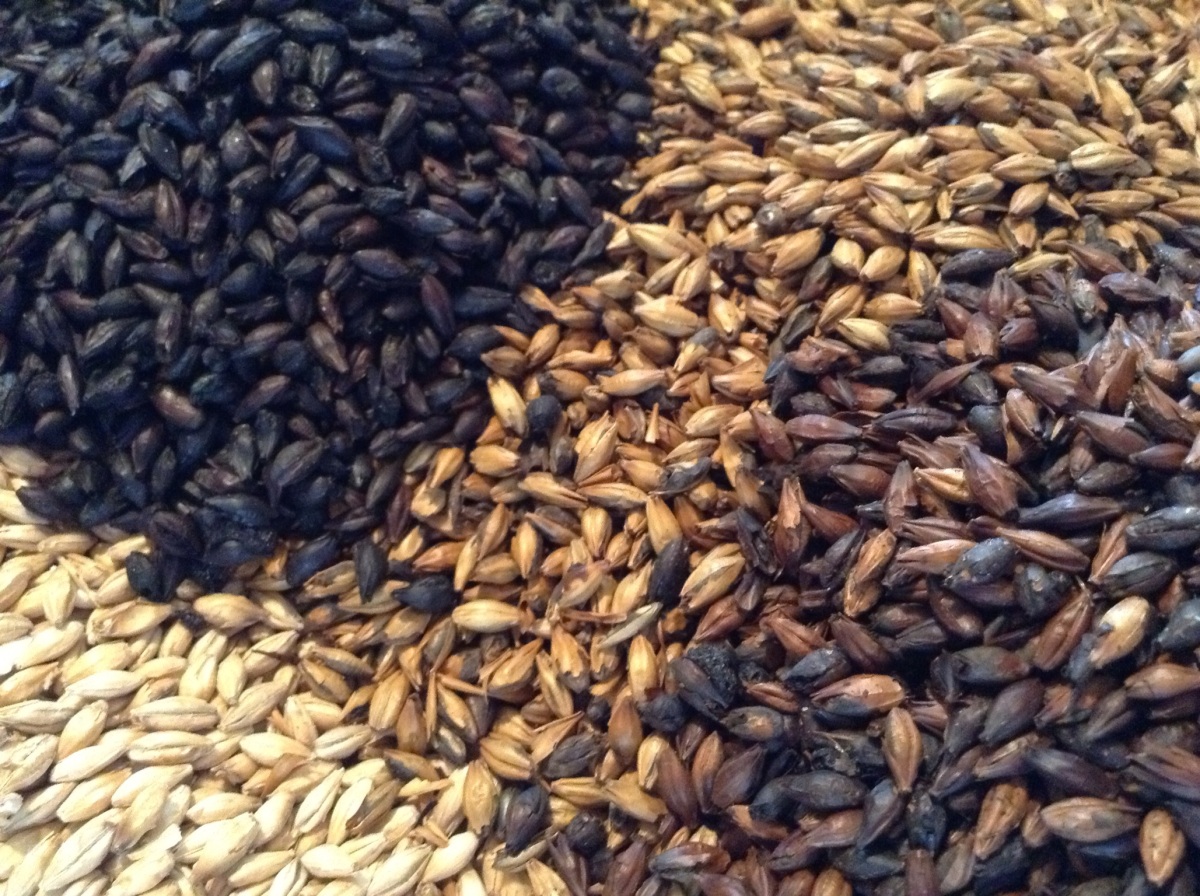 La increíble historia de la cerveza - Sigmapack