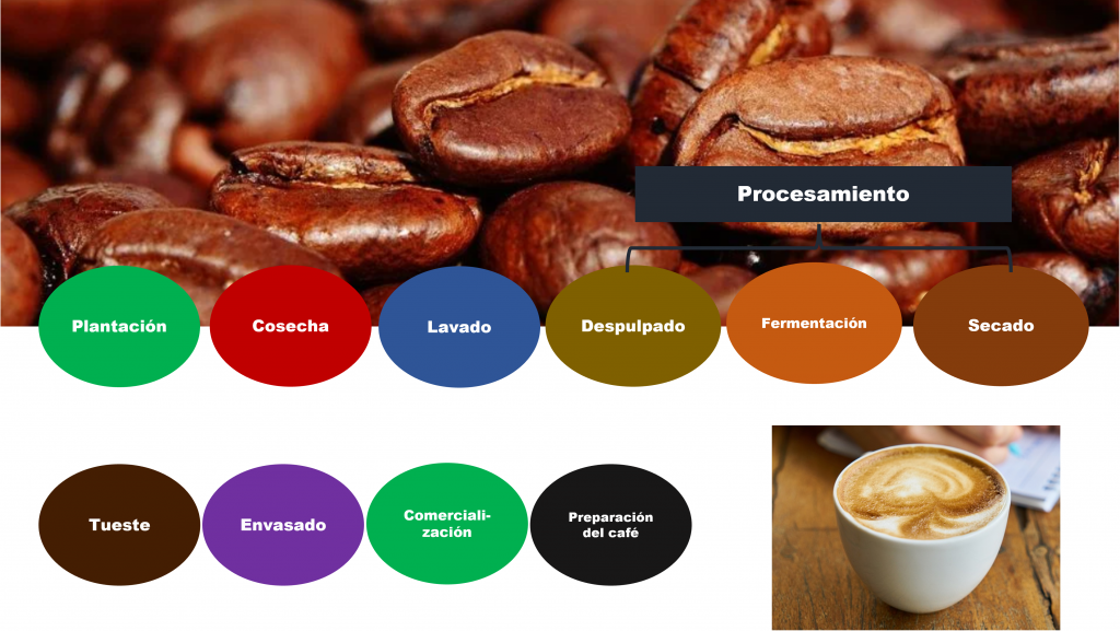 El Café - Sigmapack